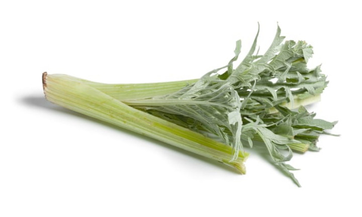 Health Benefits oF Cardoon – Yote Shin